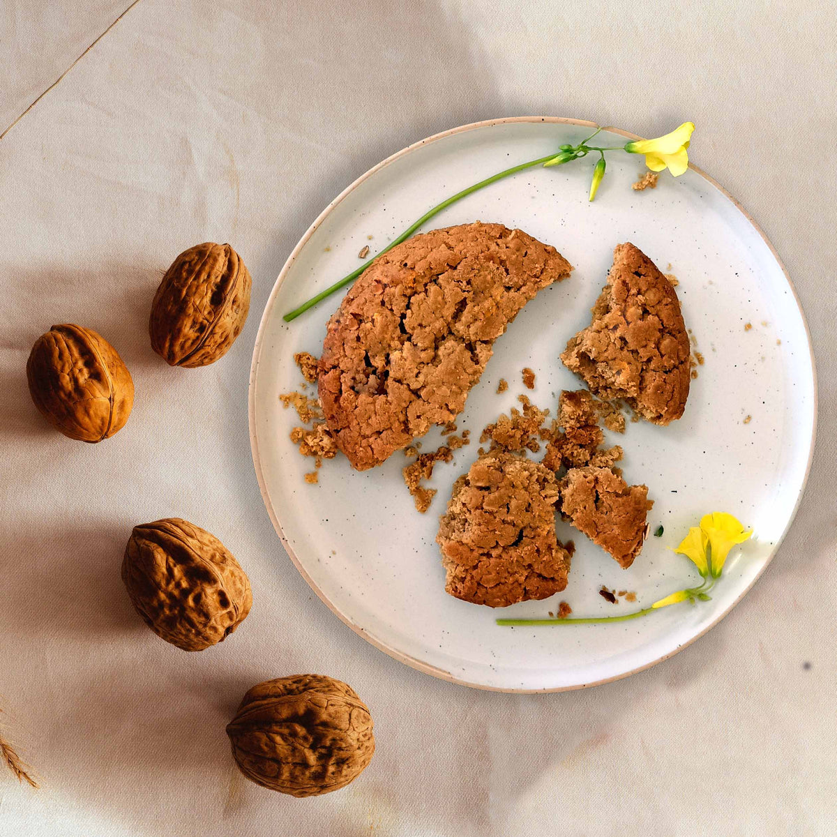 Fruit & Walnut Cookie (Box of 12) – Future Bake Australia Pty Ltd
